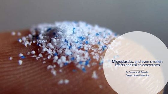 Microplastics | PDF | Environment | Science