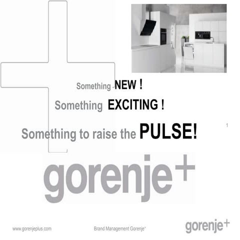 Sebastjan Rakun (Gorenje): Lansiranje nove blagovne znamke na ...