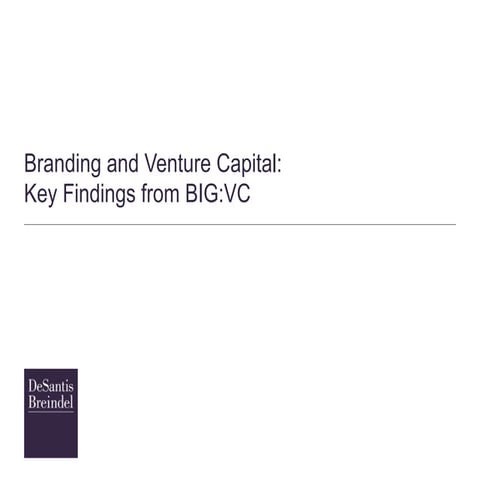 Branding and Venture Capital: Key Findings from BIG:VC | PDF
