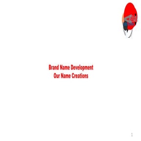 Brand Acumen Brand Name Development Case Studies | PDF