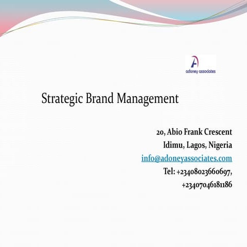 Strategic Brand Management | PDF | Advertising Industry | Industries