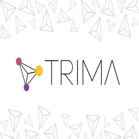 Brandbook - Agência TRIMA | PDF