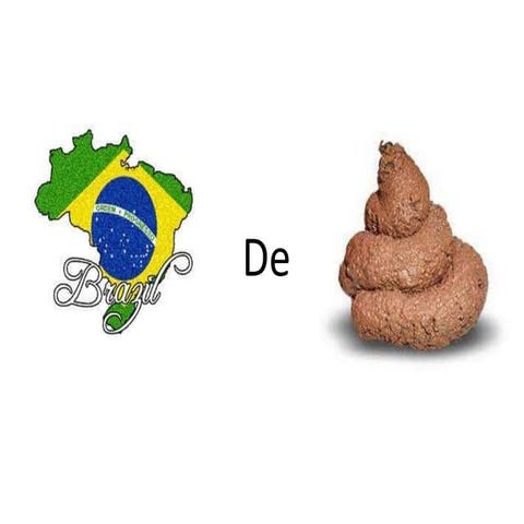 Brasil de merda | PPT