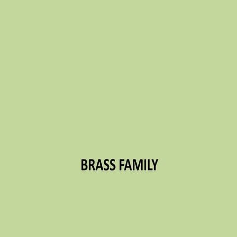 Brass family | PPTX