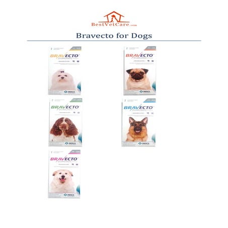 Bravecto for dogs | PDF