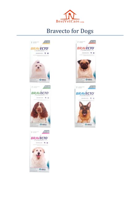 Bravecto is safe & Can Protect Your Dog From Tick and Flea! | PDF