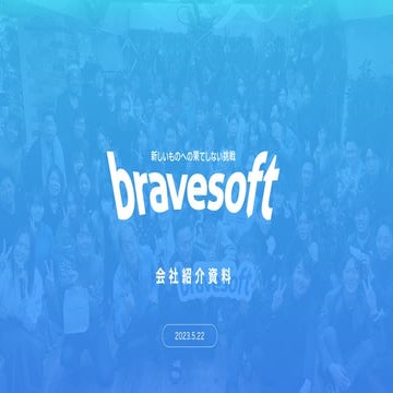 bravesoft_s_0522 (1).pdf
