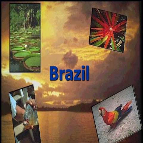 Brazil | PPT