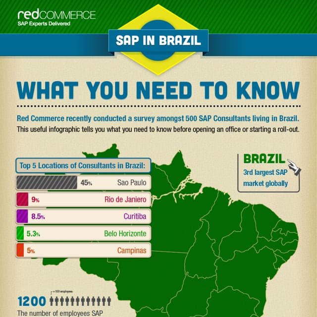 SAP in Brazil Infographic | PDF