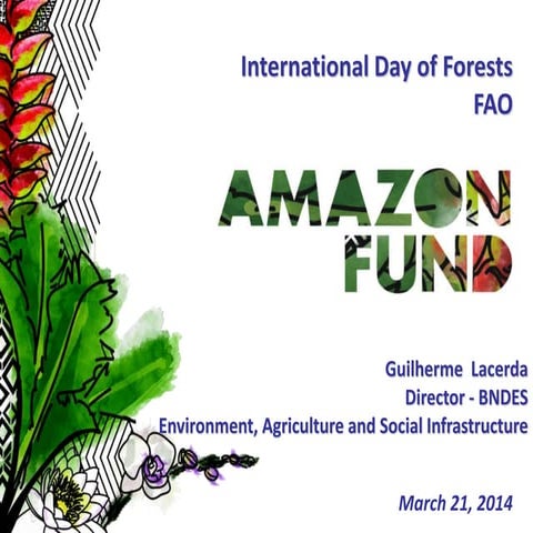International Day of Forests - Amazon Fund | PPT