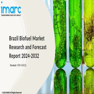 Brazil Biofuel Market Growth, Demand and Challenges of the Key Industry ...