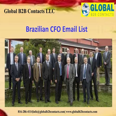 Brazilian cfo email list | PPT