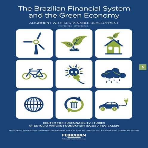 The Brazilian Financial System and the Green Economy: Alignment with ...