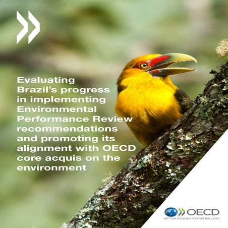 2021 - Brazil's progress in implementing environmental performance ...