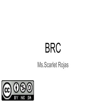 BRC .pdf