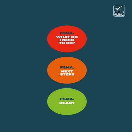 Brc gs-fmsa-brochure | PDF