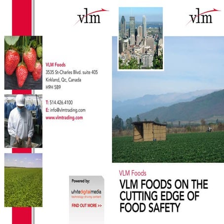BRCA VLM Foods | PDF