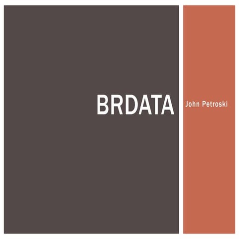 Brdata | PPTX