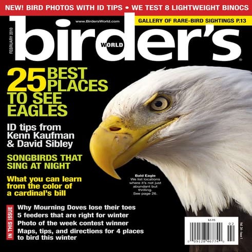 Birder's World magazine cover | PDF | Birdwatching | Hobbies & Interests