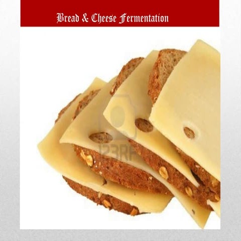 Bread and cheese | PPTX