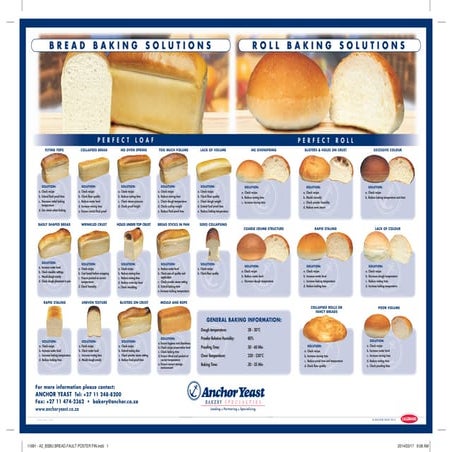 Bread problems &solutions | PDF