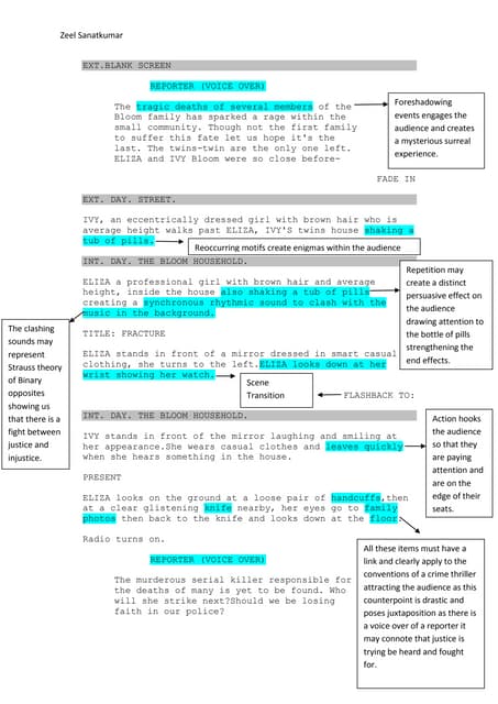 Script Writing | PDF
