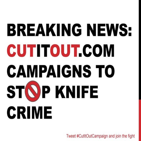 What Cut It Out aims to do | PPT