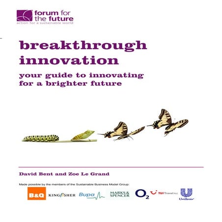 Breakthrough Innovation | PDF