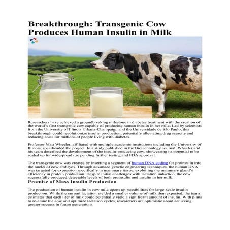 Transgenic Cow Produces Human Insulin in Milk | The Lifesciences Magazine | PDF