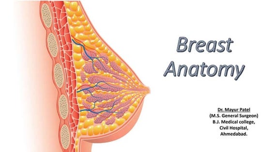 BREAST - ANATOMY AND PHYSIOLOGY.pptx