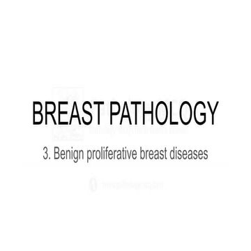 BREAST-PATHOLOGY-benign-proliferative-lesions.pdf