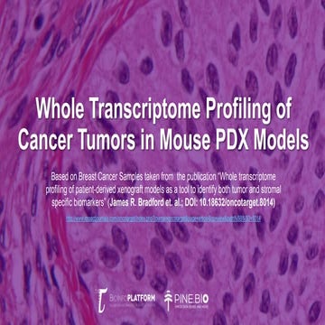 Whole Transcriptome Profiling Of Cancer Tumors In Mouse Pdx Models Ppt