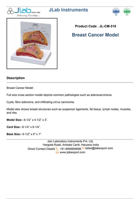 Hip osteoarthritis model | PDF