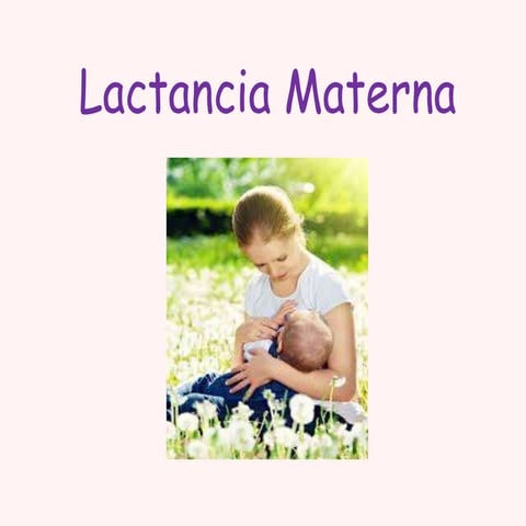 Lactancia materna rotafolio | PPTX
