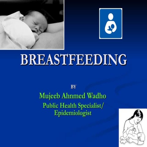 breastfeeding- The Challenges and Solutions.ppt
