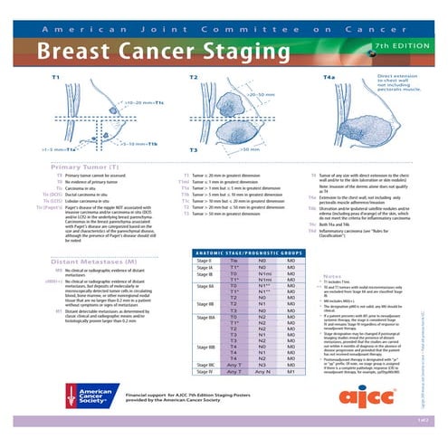 Breast Cancer Staging AJCC | PDF
