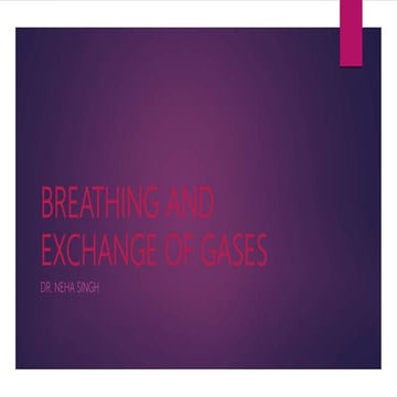 Breathing and exchange of gases | PPTX