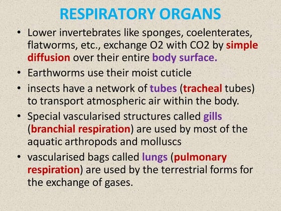 Respiration & Gas Exchange | Cambridge IGCSE Biology | PDF