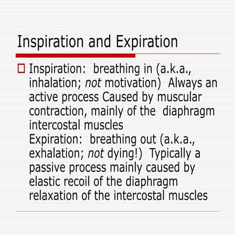 BREATHING EXERCISE.pdf