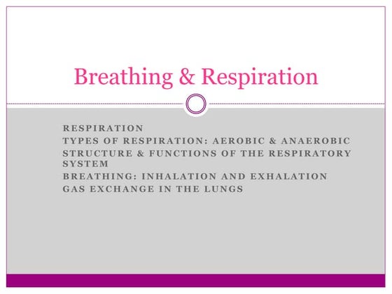 Grade 8 - Respiratory System | PPT