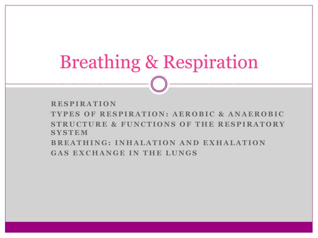 respiration | PPTX | Lung and Respiratory Health | Diseases and Conditions