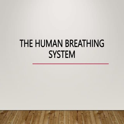 Breathing System.ppt