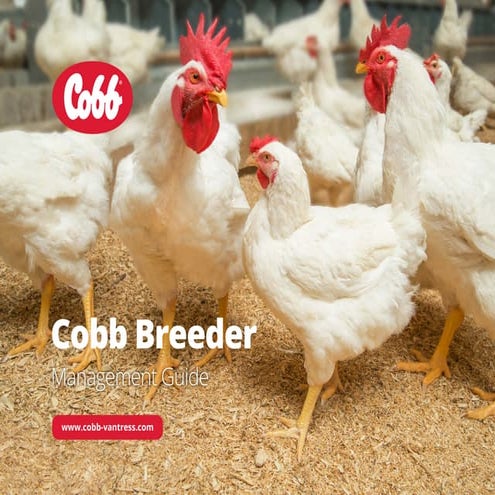 Hatchery guide cobb poultry | PDF