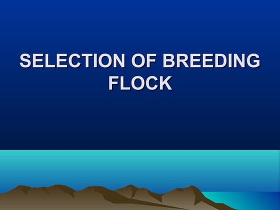 Breeding management - Swine | PPT