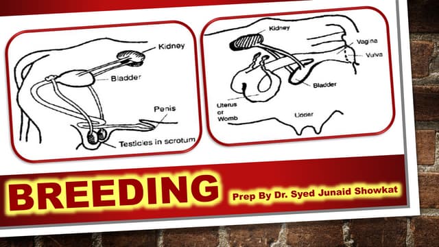 UNIT 8- MATING SYSTEM.pdf