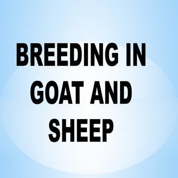 breeding-system of swine pig TLE 9 animal | PPTX