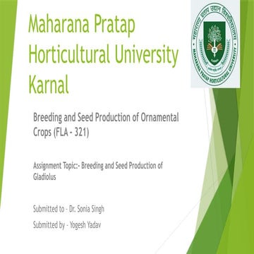 Breeding And Seed Production of Gladiolus (FLA 321) by Yogesh Yadav.pptx