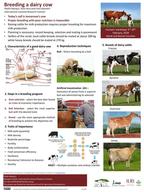 Project report on poultry farm layer | PDF