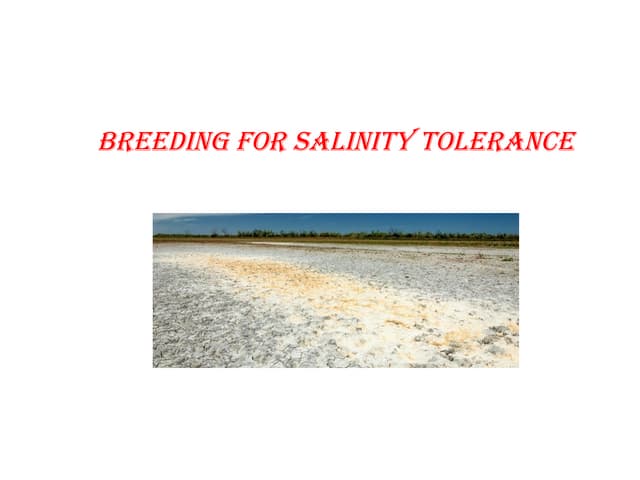 Salinity stress and its impact on plants.ppt