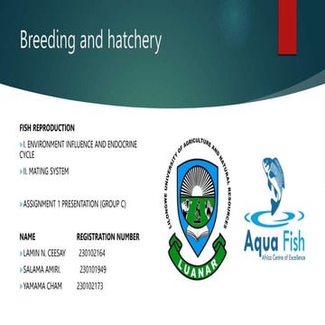 Fish Breeding and Hatchery Assignment 1.pptx
